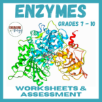 Enzymes Mini Unit | Made By Teachers