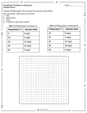 Enzymes Worksheets - Made By Teachers