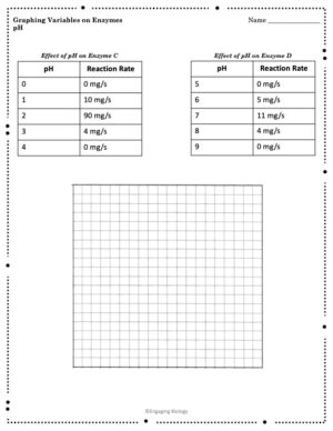 Enzymes Mini Unit | Made By Teachers