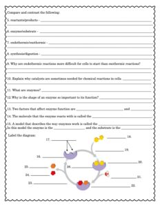 Enzymes Mini Unit - Made By Teachers