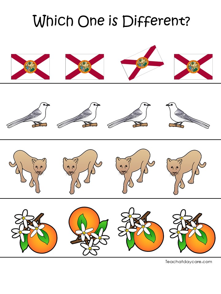30 Printable Florida State Symbol Geography Games. | Made By Teachers