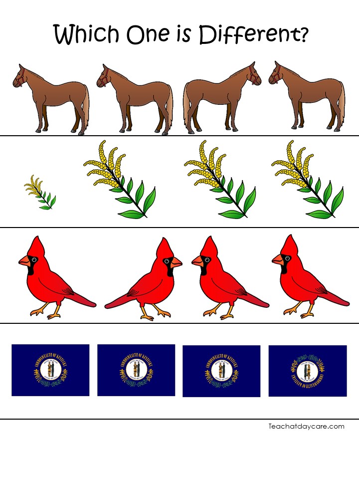 30 Kentucky State Symbol Educational School Games. | Made By Teachers