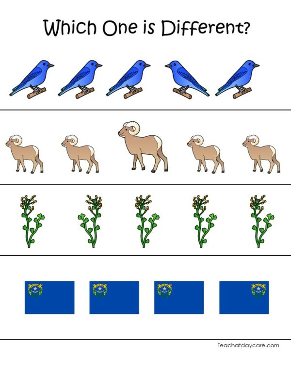 30 Nevada State Symbol Educational School Games. - Made By Teachers