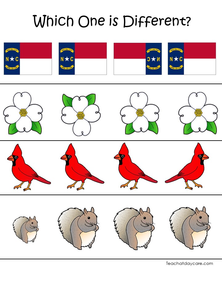30 North Carolina State Symbol Educational Games. - Made By Teachers