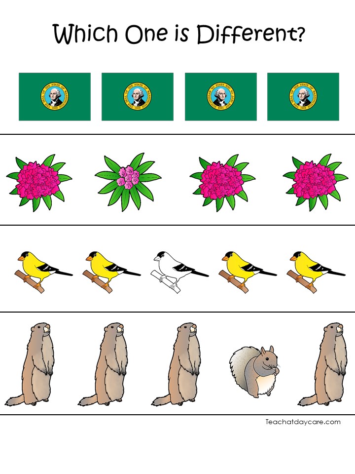 30 Washington State Symbol Educational Games. | Made By Teachers