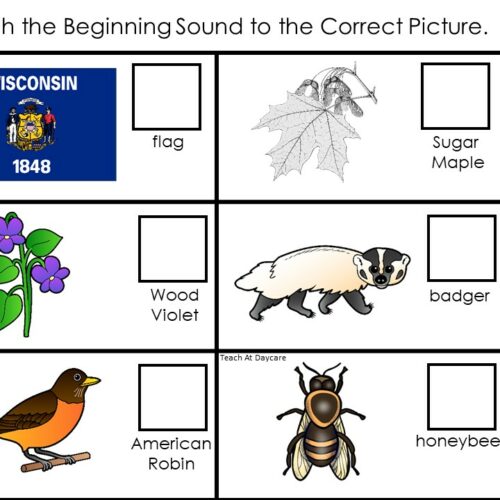 30 Wisconsin State Symbol Educational Games. | Made By Teachers
