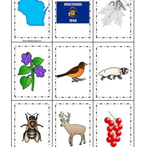 30 Wisconsin State Symbol Educational Games. | Made By Teachers