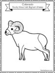 50 State Animals Color Worksheets. State Symbols. | Made By Teachers