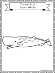 50 State Animals Color Worksheets. State Symbols. | Made By Teachers