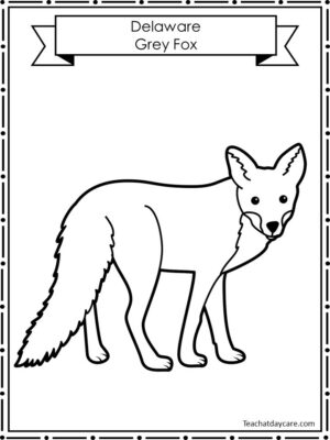 50 State Animals Color Worksheets. State Symbols. | Made By Teachers