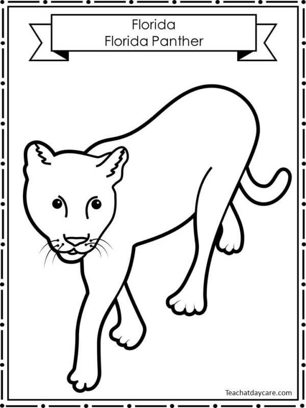 50 State Animals Color Worksheets. State Symbols. - Made By Teachers