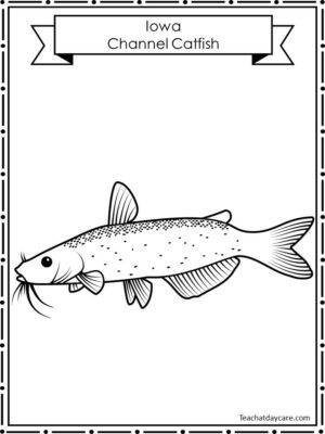 50 State Animals Color Worksheets. State Symbols. | Made By Teachers