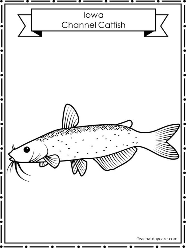 50 State Animals Color Worksheets. State Symbols. - Made By Teachers