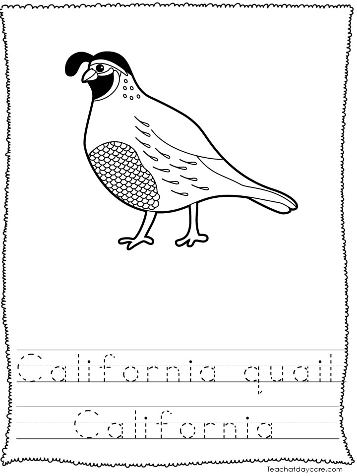 50 State Birds Color Worksheets. State Symbols. - Made By Teachers