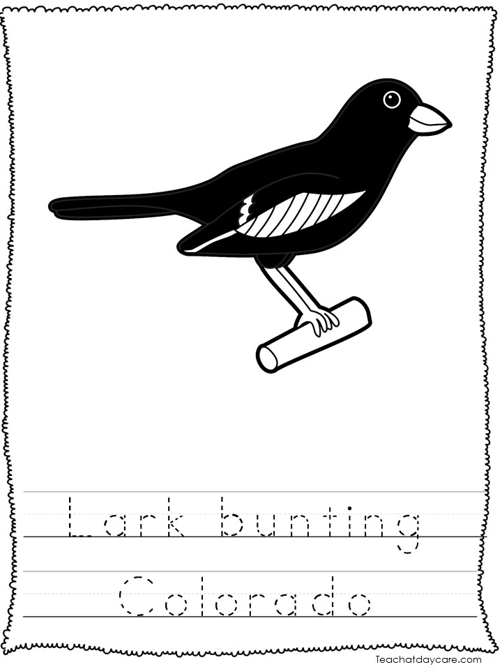 50 State Birds Color Worksheets. State Symbols. - Made By Teachers