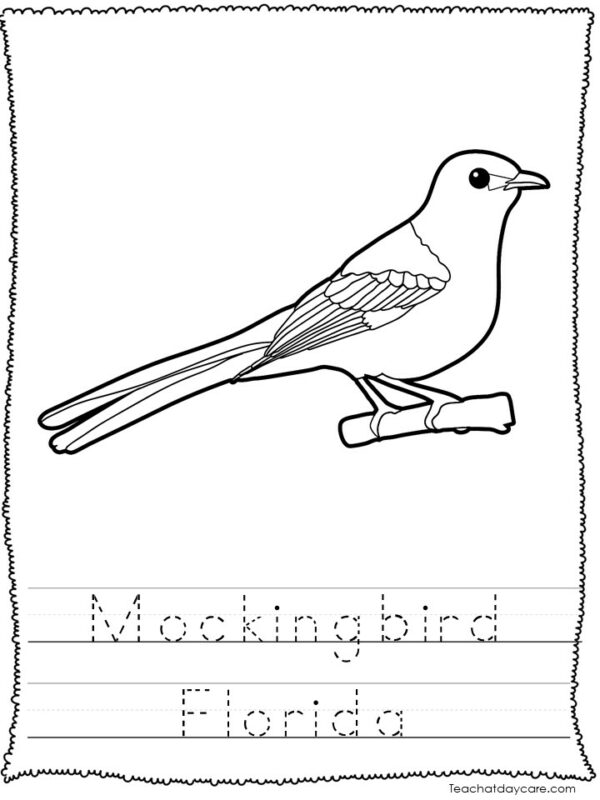 50 State Birds Color Worksheets. State Symbols. - Made By Teachers