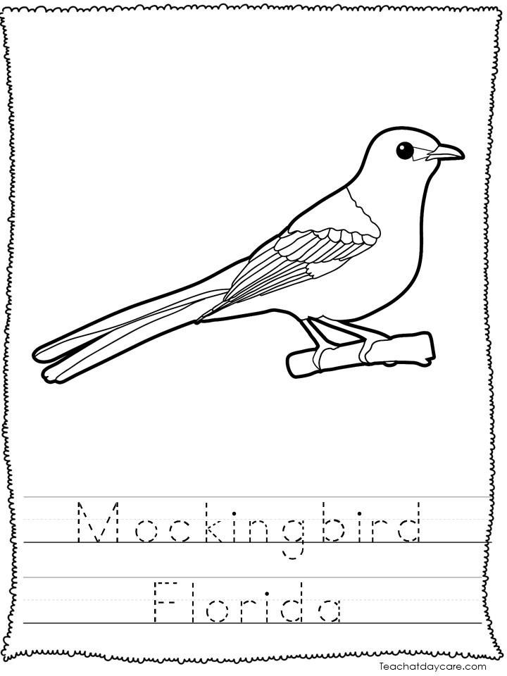 50 State Birds Color Worksheets. State Symbols. - Made By Teachers