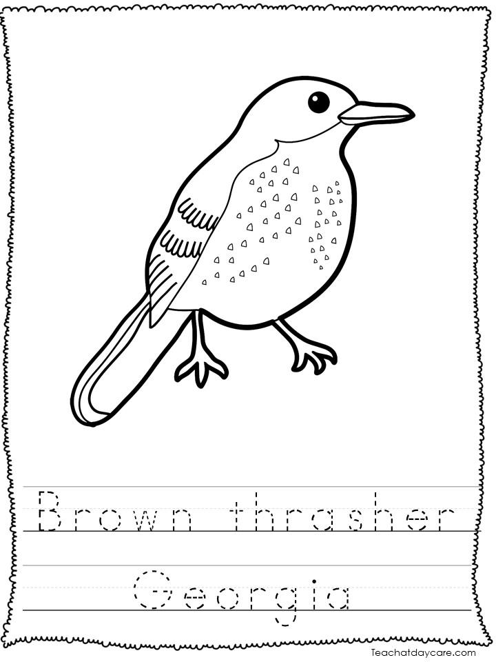 50 State Birds Color Worksheets. State Symbols. - Made By Teachers