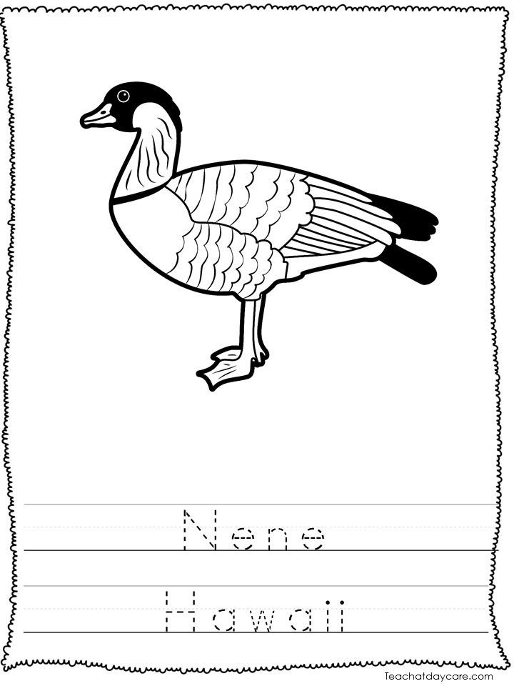 50 State Birds Color Worksheets. State Symbols. - Made By Teachers