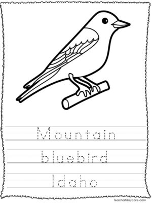 50 State Birds Color Worksheets. State Symbols. - Made By Teachers
