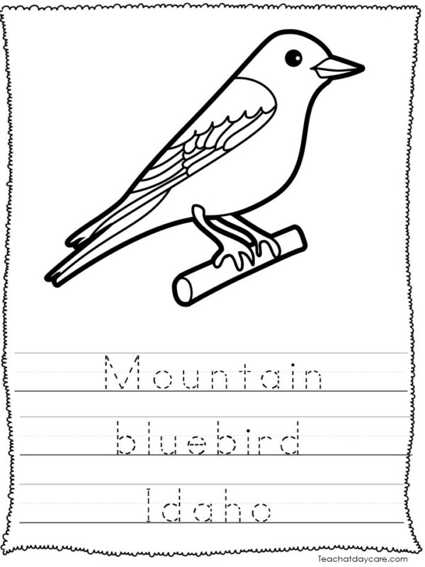 50 State Birds Color Worksheets. State Symbols. - Made By Teachers