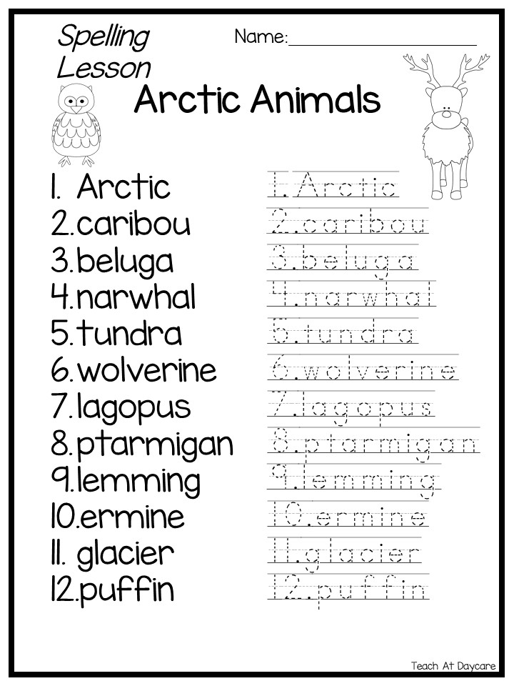 2nd Grade Arctic Animal Themed Words Spelling Unit - Made By Teachers
