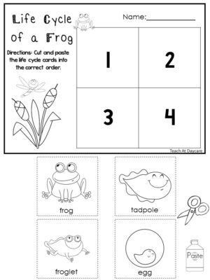 20 Life Cycles Printable Science Worksheets. | Made By Teachers