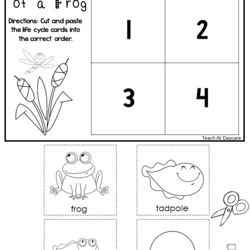20 Life Cycles Printable Science Worksheets. | Made By Teachers