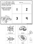 20 Life Cycles Printable Science Worksheets. - Made By Teachers