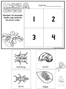 20 Life Cycles Printable Science Worksheets. | Made By Teachers