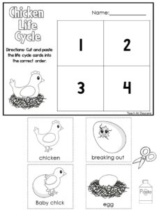 20 Life Cycles Printable Science Worksheets. | Made By Teachers