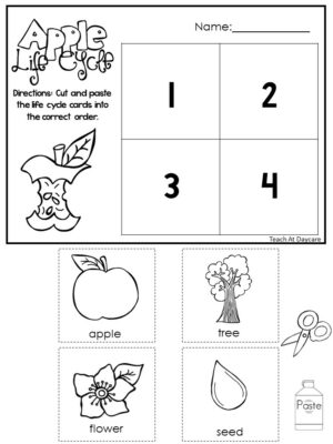 20 Life Cycles Printable Science Worksheets. | Made By Teachers