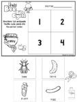 20 Life Cycles Printable Science Worksheets. - Made By Teachers