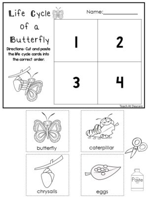 20 Life Cycles Printable Science Worksheets. - Made By Teachers