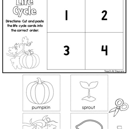 20 Life Cycles Printable Science Worksheets. | Made By Teachers