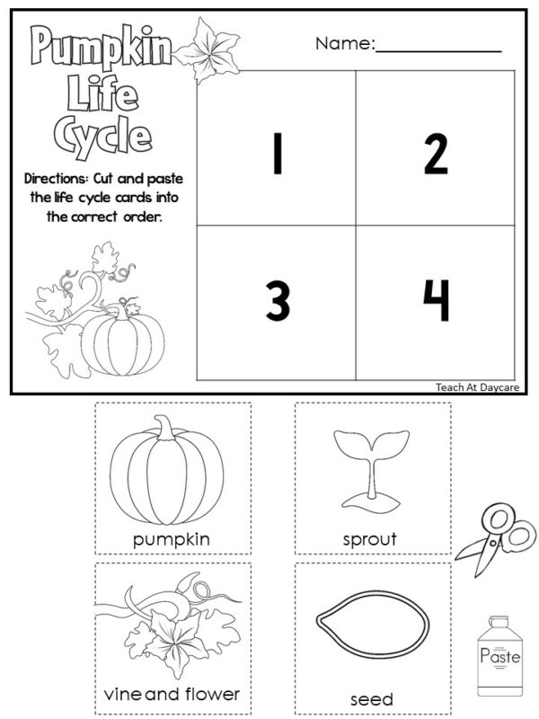 20 Life Cycles Printable Science Worksheets. | Made By Teachers