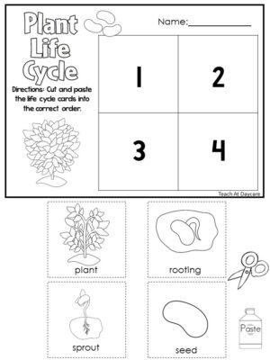 20 Life Cycles Printable Science Worksheets. - Made By Teachers