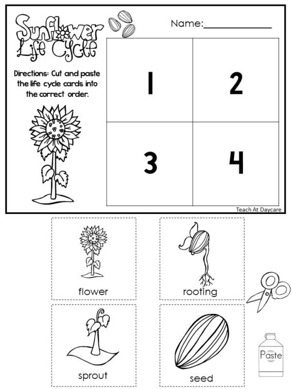 20 Life Cycles Printable Science Worksheets. | Made By Teachers
