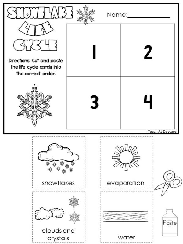 20 Life Cycles Printable Science Worksheets. | Made By Teachers