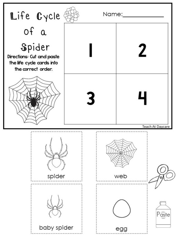20 Life Cycles Printable Science Worksheets. - Made By Teachers