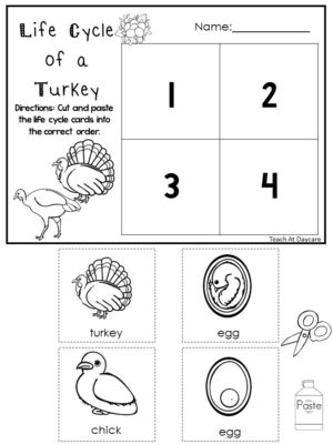 20 Life Cycles Printable Science Worksheets. - Made By Teachers