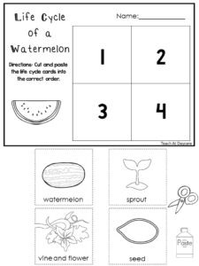 20 Life Cycles Printable Science Worksheets. | Made By Teachers