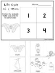 20 Life Cycles Printable Science Worksheets. - Made By Teachers