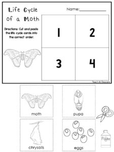 20 Life Cycles Printable Science Worksheets. - Made By Teachers