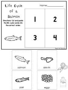 20 Life Cycles Printable Science Worksheets. - Made By Teachers