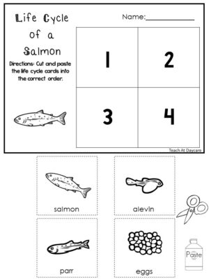 20 Life Cycles Printable Science Worksheets. - Made By Teachers
