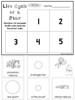 20 Life Cycles Printable Science Worksheets. - Made By Teachers