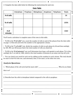 Virtual Mitosis Lab - Made By Teachers