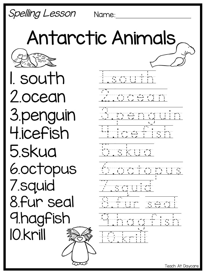 1st Grade Antarctic Animals Words Spelling Unit. - Made By Teachers
