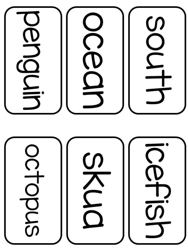 1st Grade Antarctic Animals Words Spelling Unit. - Made By Teachers